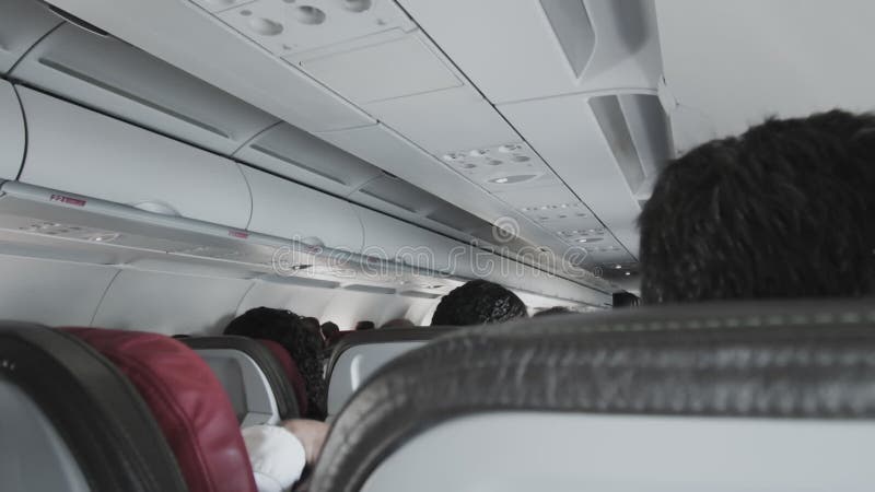 Passengers Seated in the Cabin Receive Attentive Services from Steward ...