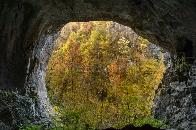 Inside Cave Of At Forest Looking Out Stock Photo - Image of designs ...