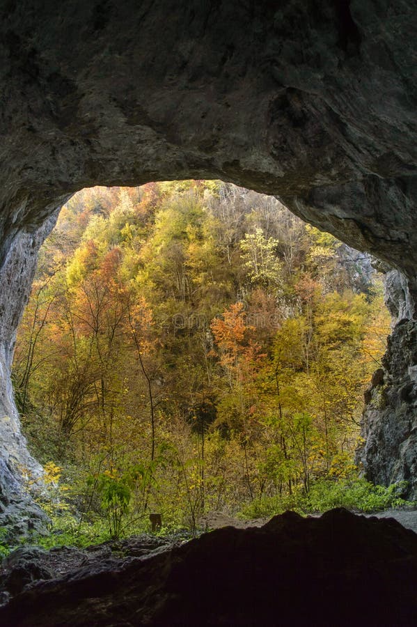 View from Inside a Cave Looking Out To Autumn Forest Stock Image ...
