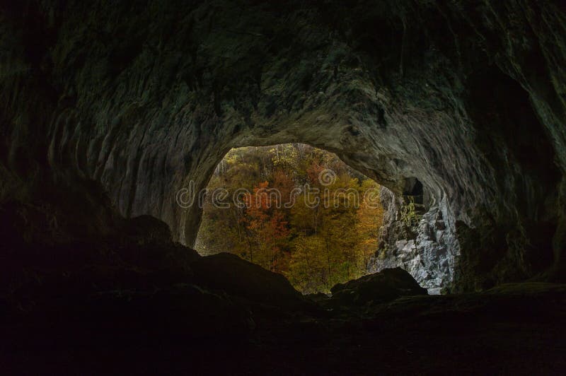 View from Inside a Cave Looking Out To Autumn Forest Stock Photo ...