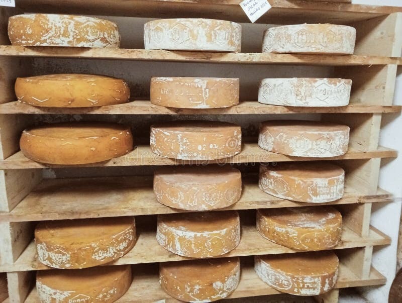 View of an Inside of a Dairy with Racks Full of Forms of Cheese Stock ...