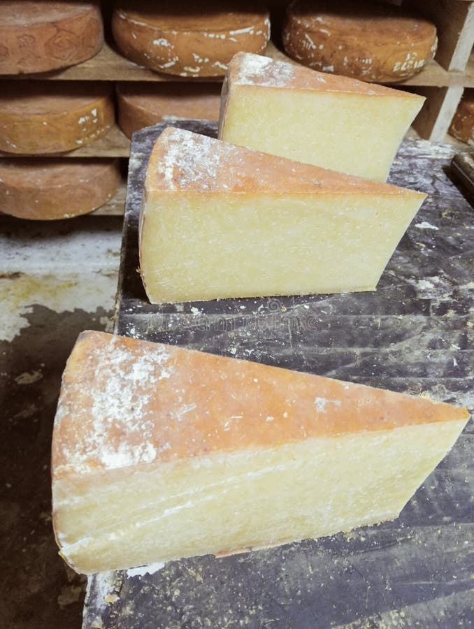 View of an Inside of a Dairy with Racks Full of Forms of Cheese Stock ...