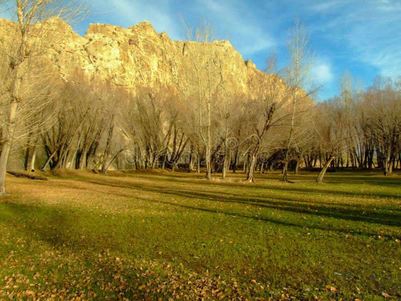 The View Inside Forest, Trees at Fall. Castle Wall Stock Image - Image ...