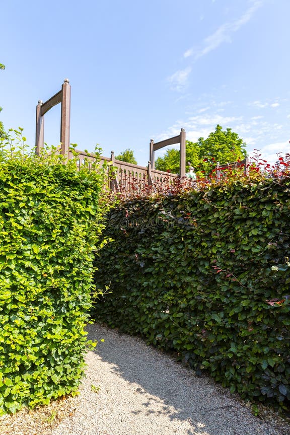 View Inside the Labyrinth in Scone Palace, Perth Stock Image - Image of ...