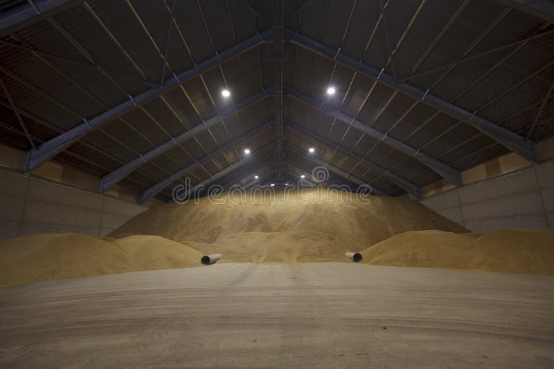 View Inside a Large Grain Drying Store, with a Huge Pile of Grain ...