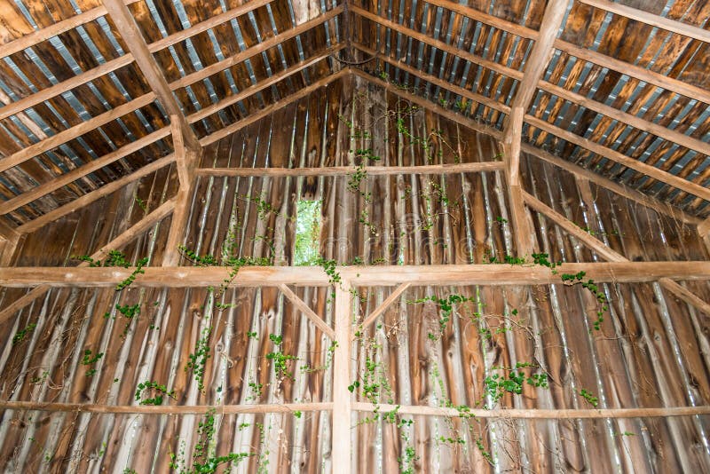 The View from Inside a Old Barn Stock Photo - Image of barn, quiet ...