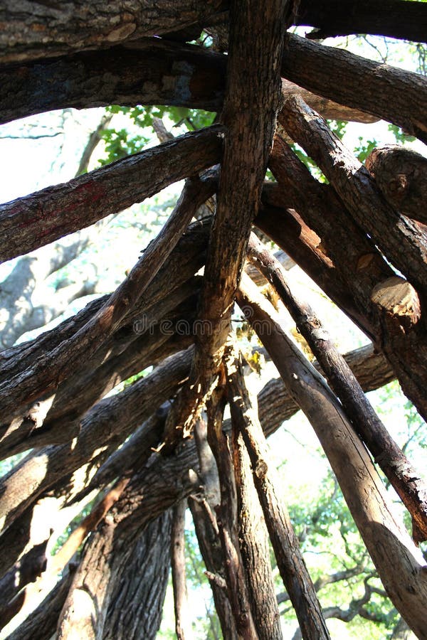 View from Inside of Fort Made from Large Branches of Trees Stock Image ...