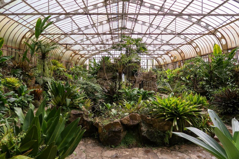 View of an Internal Garden in a Glassed-in Greenhouse Stock Photo ...