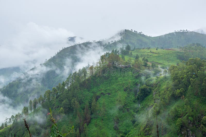 View of island Sumatra stock photo. Image of view, scene - 123559574