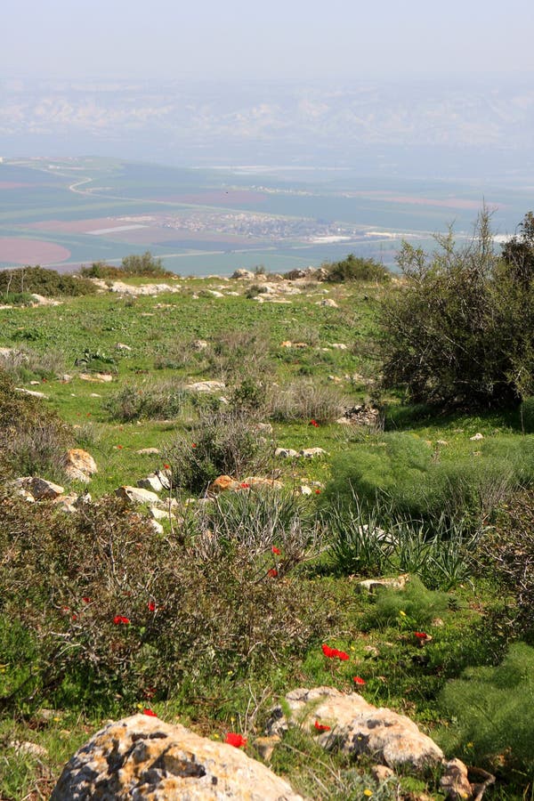 View on Israel valley stock image. Image of earth, green - 87296115