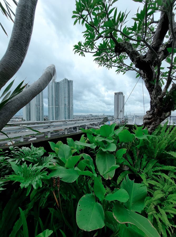 View of Jakarta City, from High Rise Building Stock Photo - Image of ...