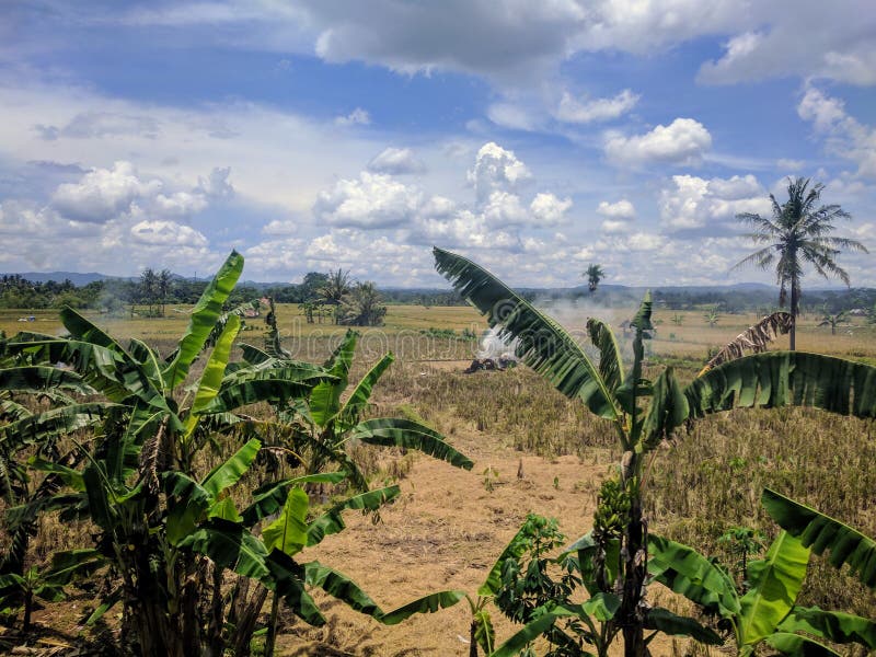 View of a Java Countryside, Indonesia Stock Image - Image of tropical ...