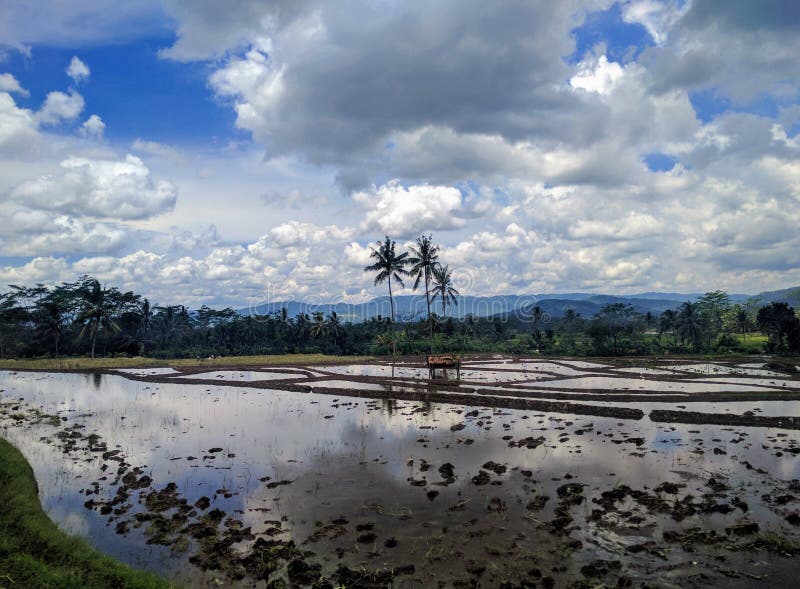 View of a Java Countryside, Indonesia Stock Image - Image of travel ...