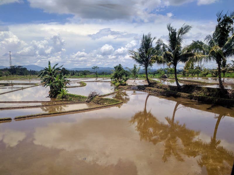 View of a Java Countryside, Indonesia Stock Photo - Image of nature ...