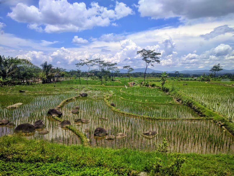 View of a Java Countryside, Indonesia Stock Image - Image of travel ...