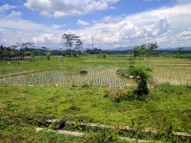 View of a Java Countryside, Indonesia Stock Image - Image of travel ...