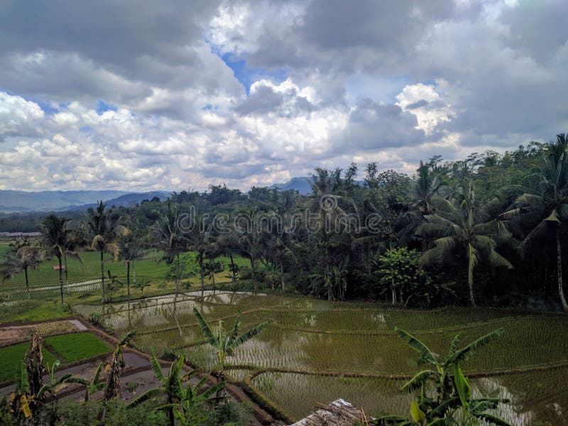 View of a Java Countryside, Indonesia Stock Image - Image of travel ...