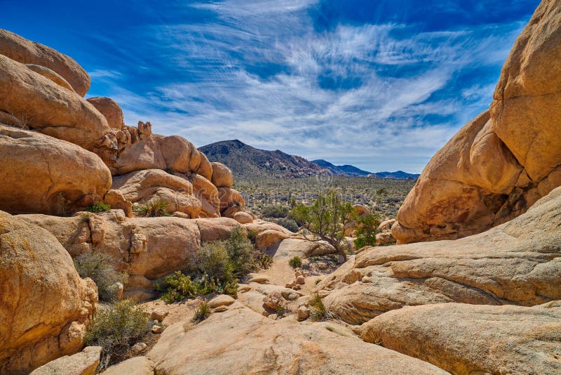 View of Joshua Tree Valley stock photo. Image of california - 144494804