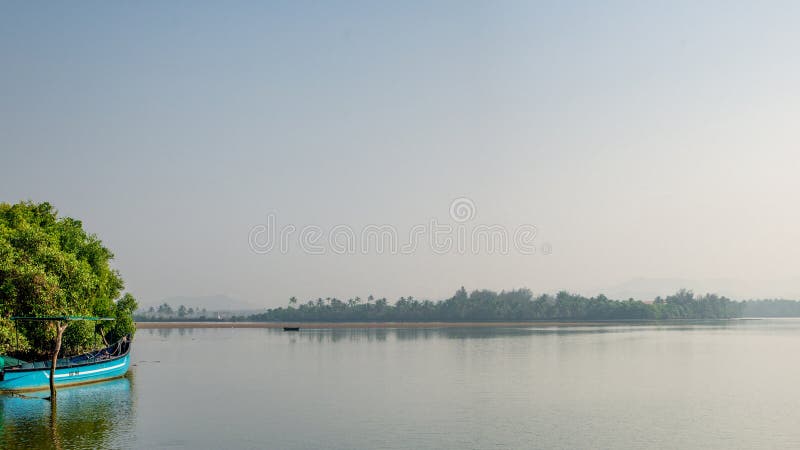 View of the Jungle Shore from the River Stock Image - Image of remote ...
