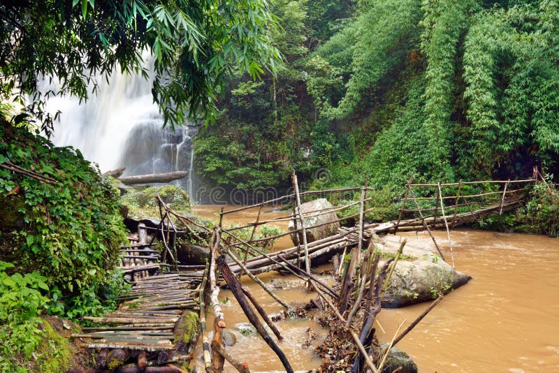 View in the Jungle in Thailand Stock Photo - Image of nature, creek ...