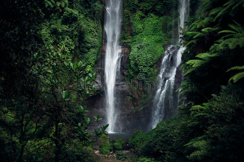 View of Jungle Waterfall Cascade in Tropical Rainforest Stock Image ...