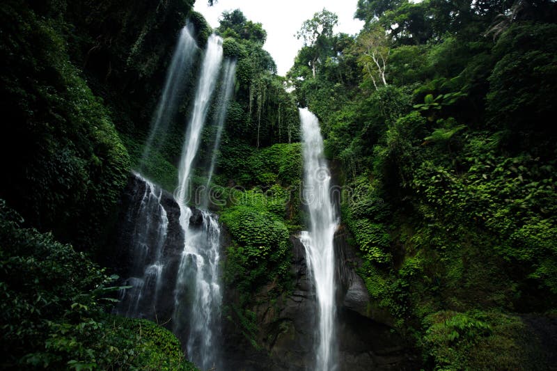 View of Jungle Waterfall Cascade in Tropical Rainforest Stock Image ...