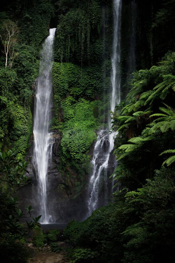 View of Jungle Waterfall Cascade in Tropical Rainforest Stock Photo ...