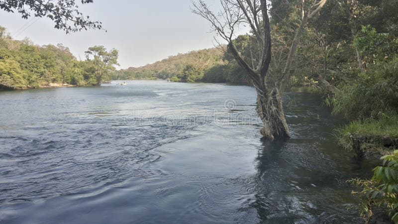 View of Kali River or Kali Nadi River at Dandeli,Karnataka, India Stock ... View of Kali River or Kali Nadi River at Dandeli,Karnataka, India Stock ...