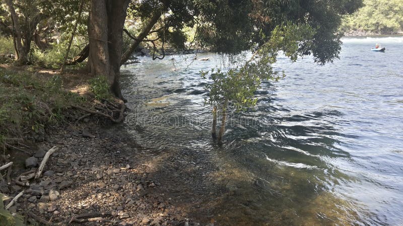 View of Kali River, or Kali Nadi River at Dandeli, Karnataka, India ...