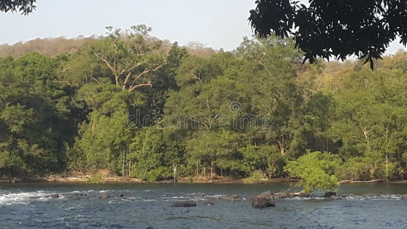 View of Kali River or Kali Nadi River at Dandeli, Karnataka, India ...
