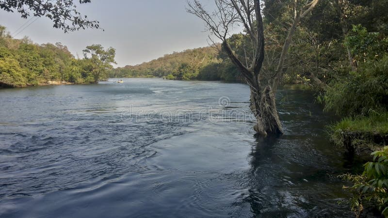 View of Kali River or Kali Nadi River at Dandeli, Karnataka, India ...