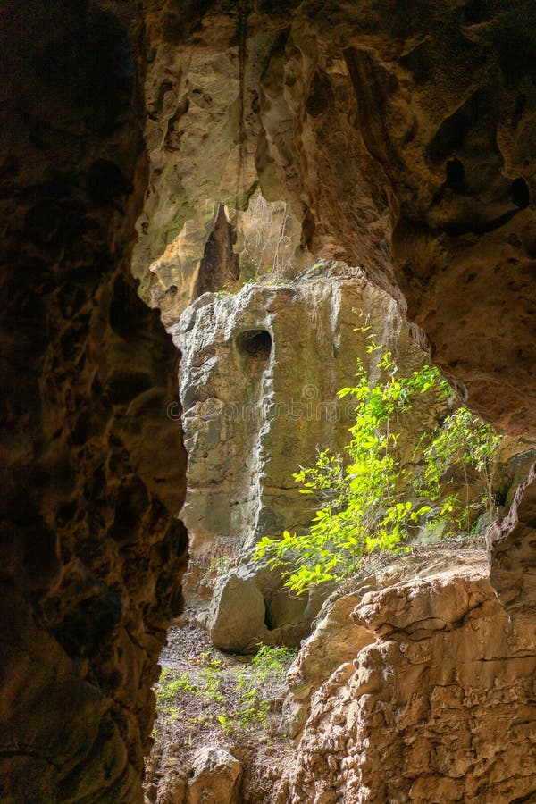 The view of Kampot caves stock photo. Image of vegetation - 309637004