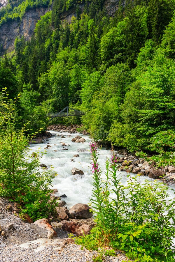 View of the Kander River, Switzerland Stock Image - Image of nature ...