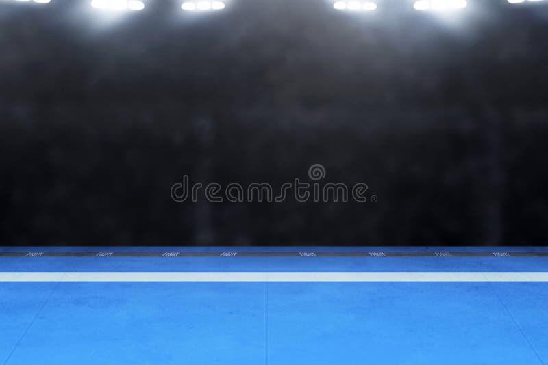 View of Karate Tournament Arena Stock Photo - Image of karate, japan ...