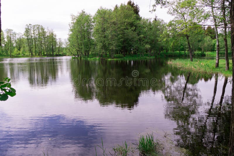 View of karst lake stock photo. Image of baltic, landscape - 94226966