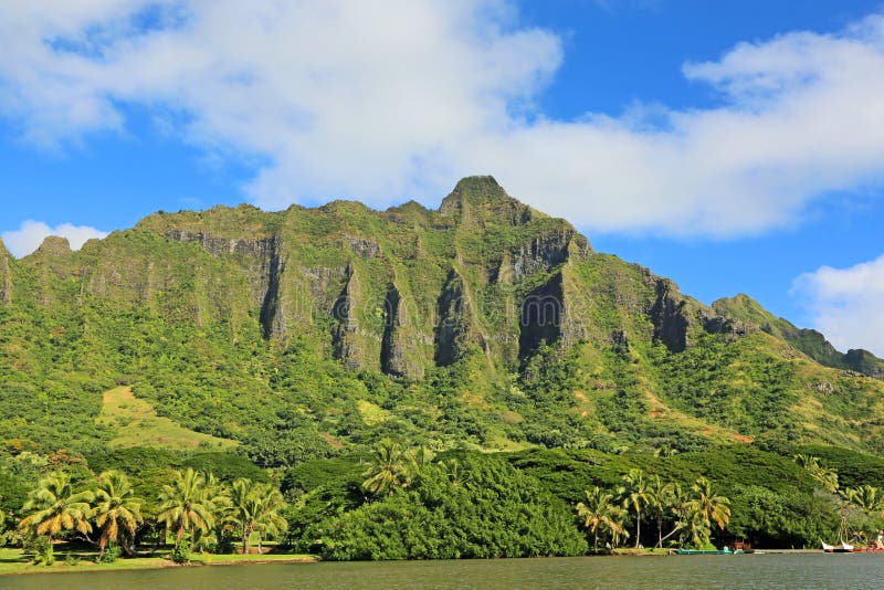 View at Kualoa Cliffs from Fish Pond Stock Image - Image of trees, oahu ...