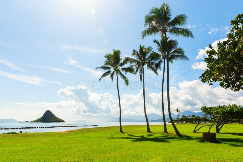 View of Kualoa Regional Park, Oahu, Hawaii Arkivfoto - Bild av äng ...