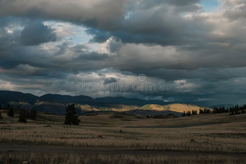 View of the Kurai Steppes in the Altai Mountains Stock Photo - Image of ...