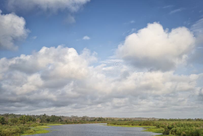 View Of The Kwanza River. Angola, Africa. Stock Image - Image of plant ...