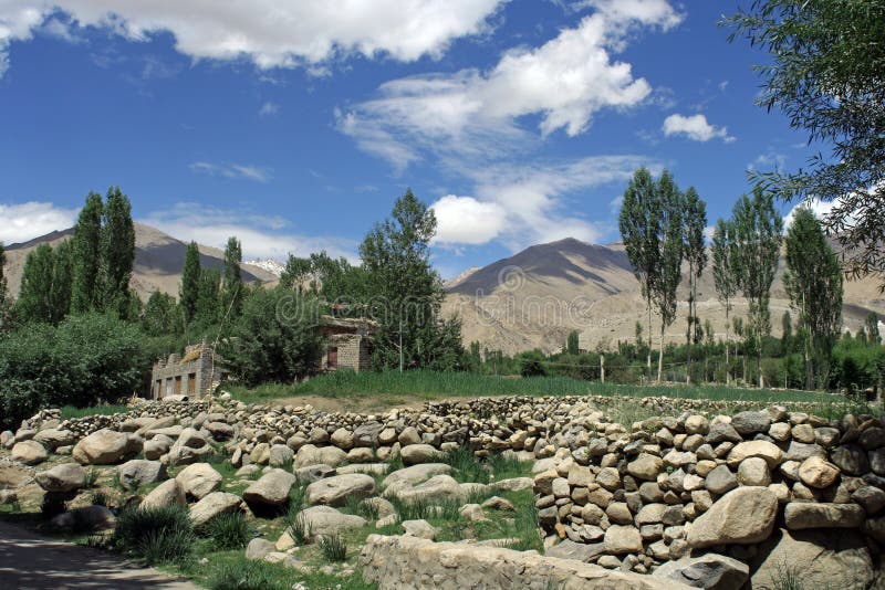 View of ladakh-city. stock photo. Image of color, exterior - 13826642