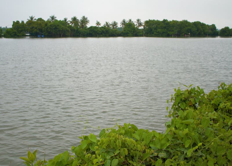 Lake Banks with a Partial View of the Fishing Boat and Coconut Trees ...