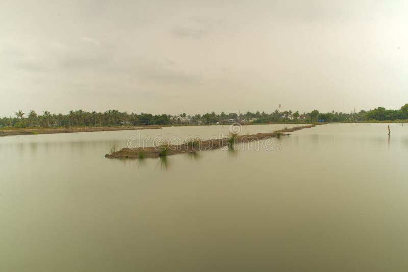 Lake Banks with a Partial View of the Fishing Boat and Coconut Trees ...