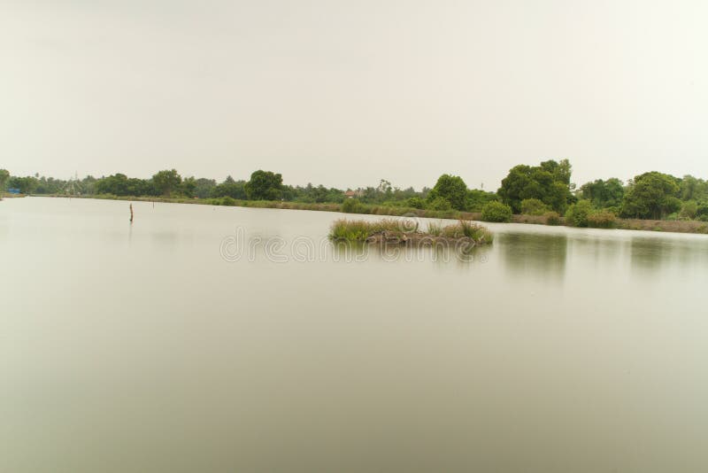 View from the Lake Banks with a Partial View of the Coconut Trees Stock ...