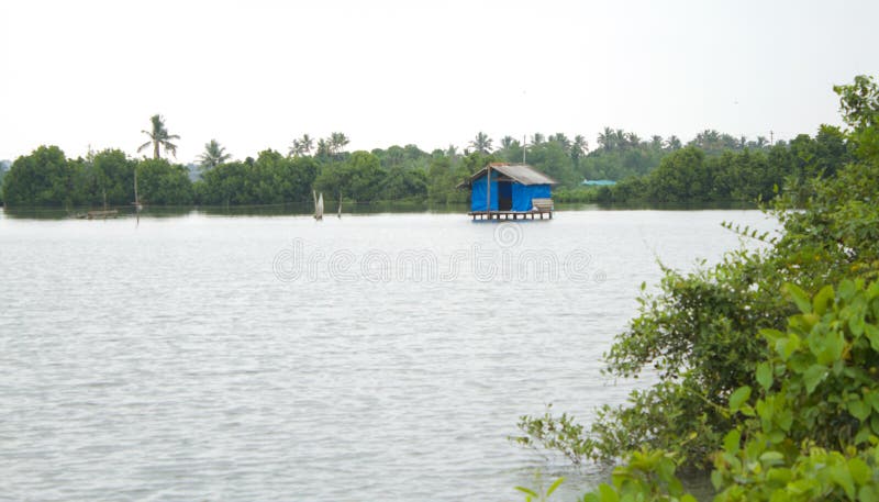 Lake Banks with a Partial View of the Fishing Boat and Coconut Trees ...