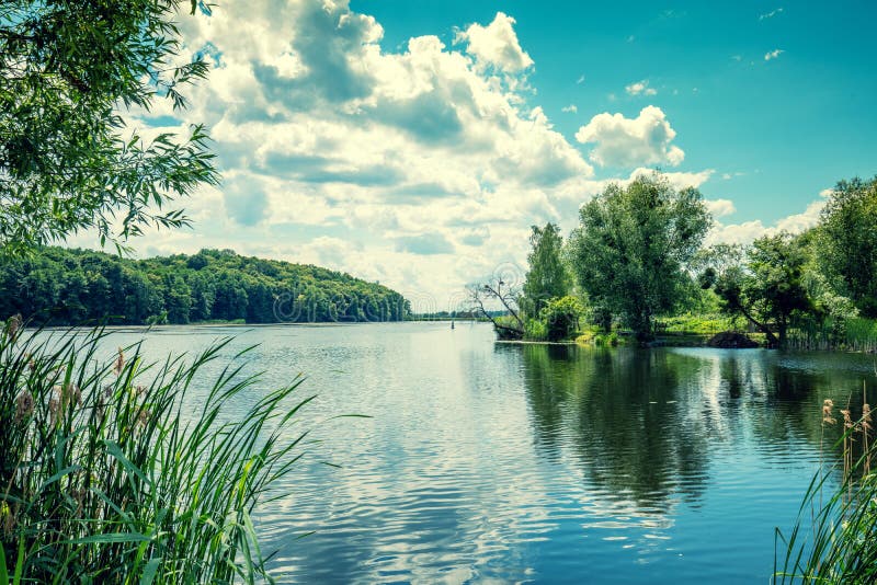 View of Beautiful Mountain Landscape through the Windscreen Stock Image ...