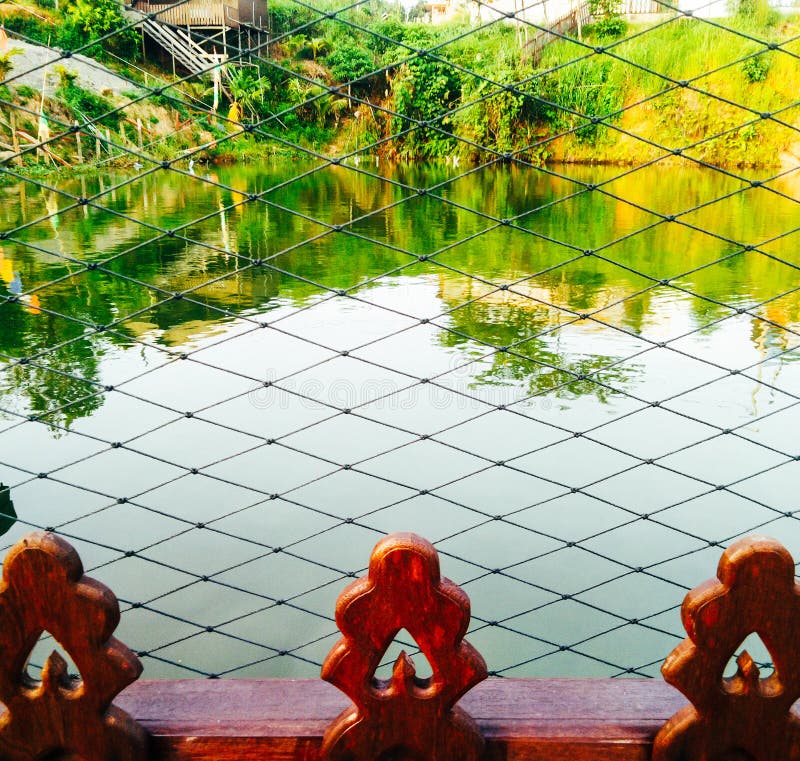 View of the Lake from Behind the Fence Stock Photo - Image of jungle ...