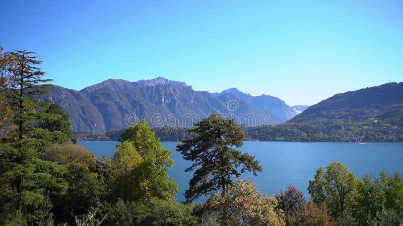 View of Lake Como, Olive Tree and Other Trees from a High Mountain ...