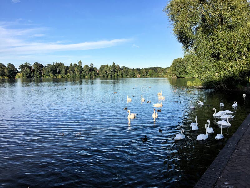 A View of the Lake at Ellesmere Stock Photo - Image of dusk, showing ...
