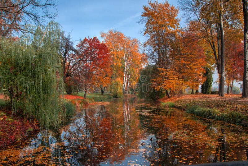 Reflections of Fall stock image. Image of maple, autumn - 666267