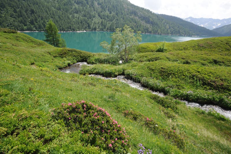 View of lake Ritom stock image. Image of meadow, shrubland - 33275327